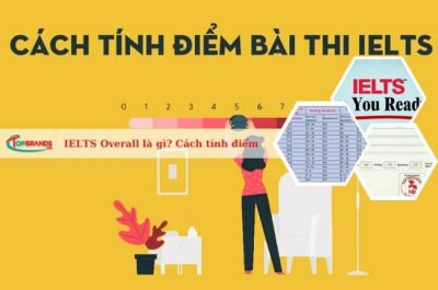 IELTS Overall là gì? Cách tính điểm IELTS Overall chính xác nhất ...
